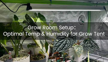 Grow Room Setup: Optimal Temp & Humidity for Grow Tent – Medicgrow