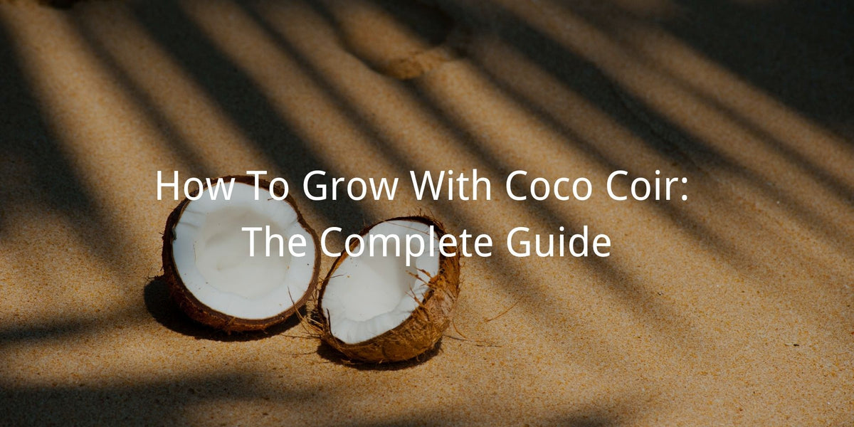 Grow With Coco Coir: The Pros And Cons