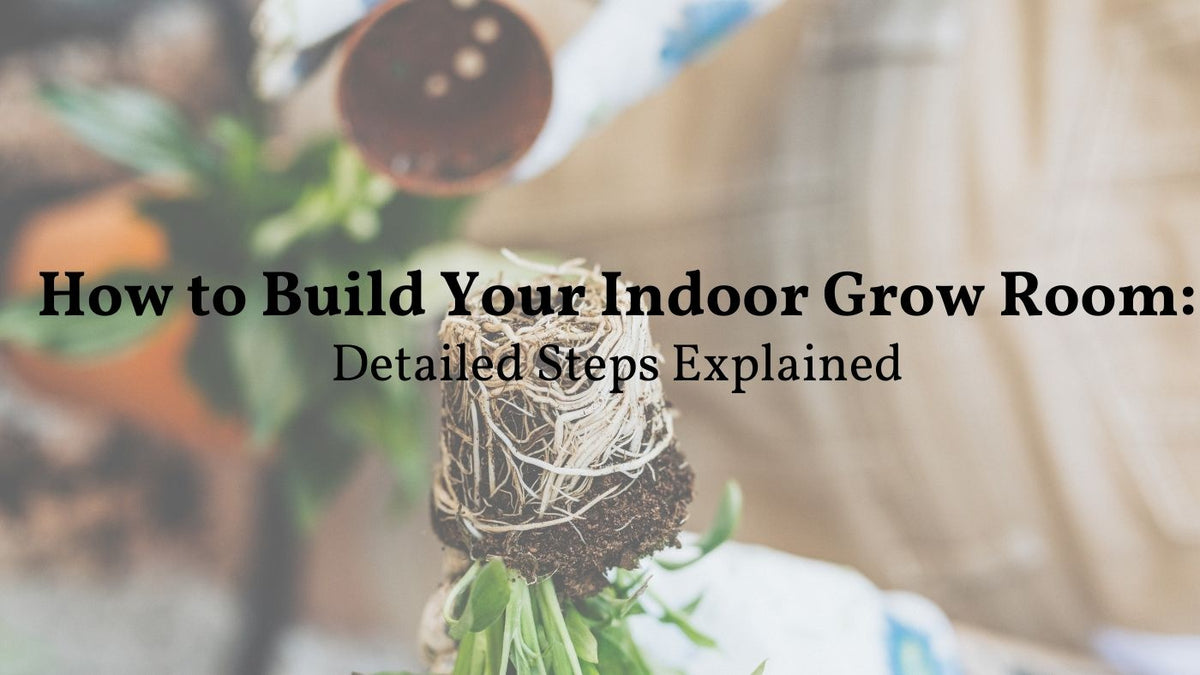 How to Set Up Your Indoor Grow Room Step by Step – Medicgrow