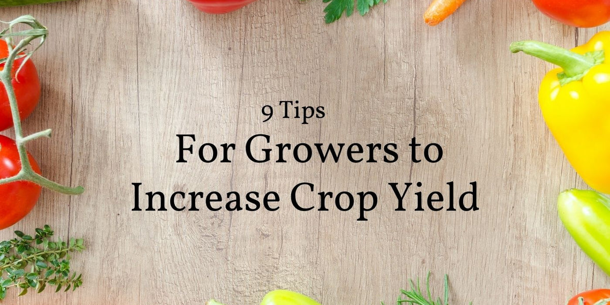 9 Ways For Farmers to Increase Crop Yield (2021 Updated) | Medicgrow