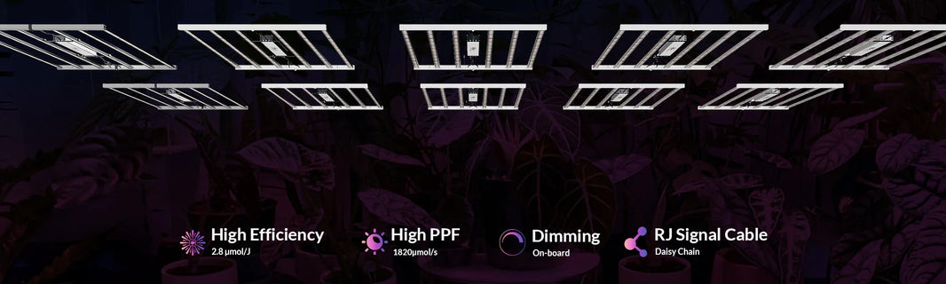 LED Grow Lights | Best Grow Lights for Indoor Plants - Medicgrow ...