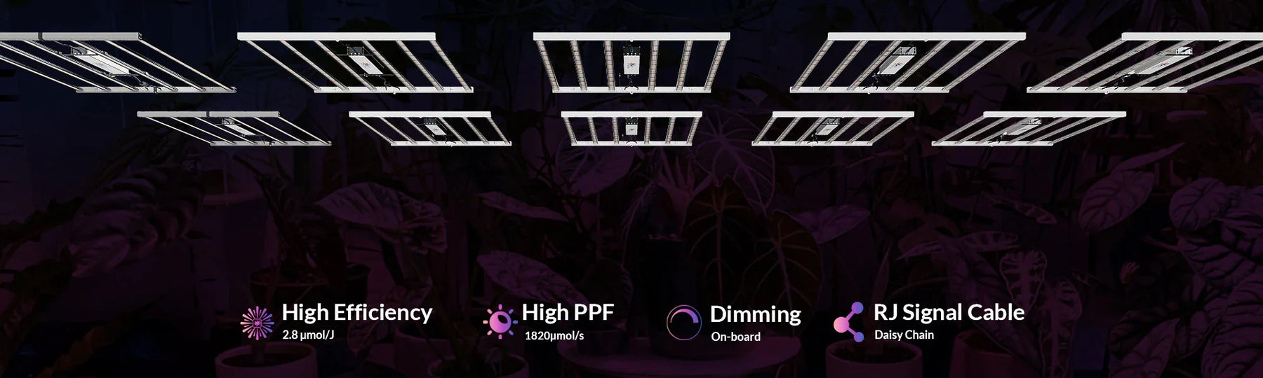 LED Grow Lights | Best Grow Lights for Indoor Plants - Medicgrow ...