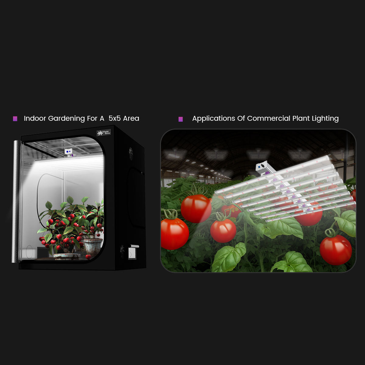 How Far Should LED Grow Lights Be from Plants? (2024 version) – Medicgrow