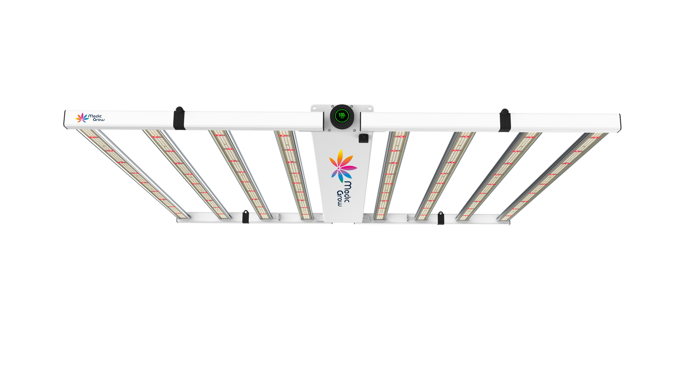 Grow Light vs Regular Light: Can Any LED Light Grow Plants? – Medicgrow