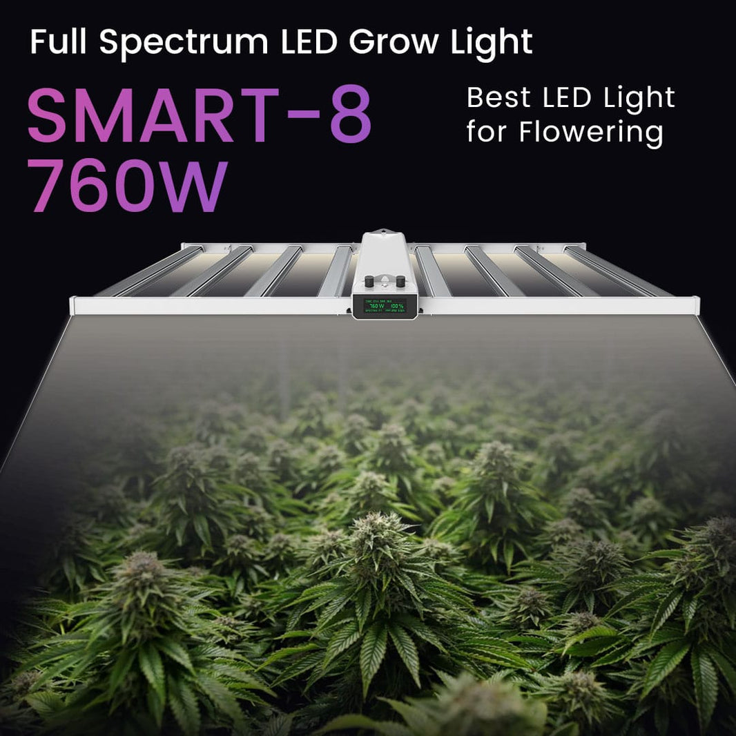 Smart-8 760W Dimmable LED Grow Light with Timer – Medicgrow