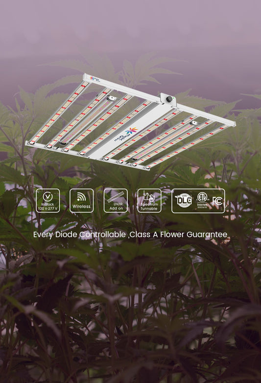 Best Full Spectrum LED Grow Lights – Medicgrow