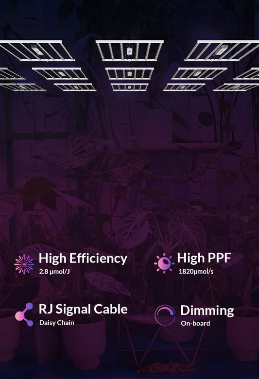 LED Grow Lights | Best Grow Lights for Indoor Plants - Medicgrow ...