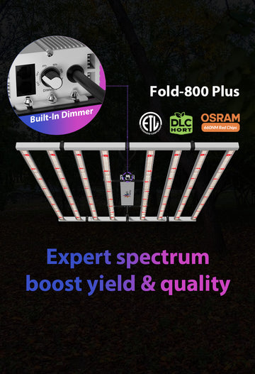 Buy LED Grow Light to Maximize Yields & Quality – Medicgrow